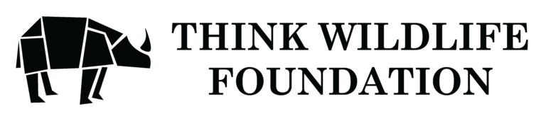 Think Wildlife Foundation