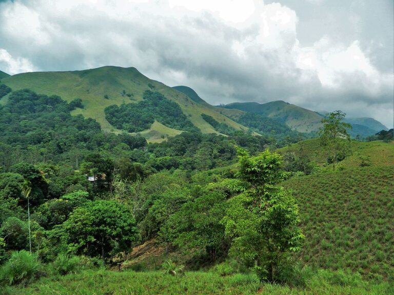 Exploring the Biodiversity of The Western Ghats