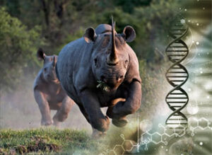 The Growing Field of Wildlife Forensic DNA