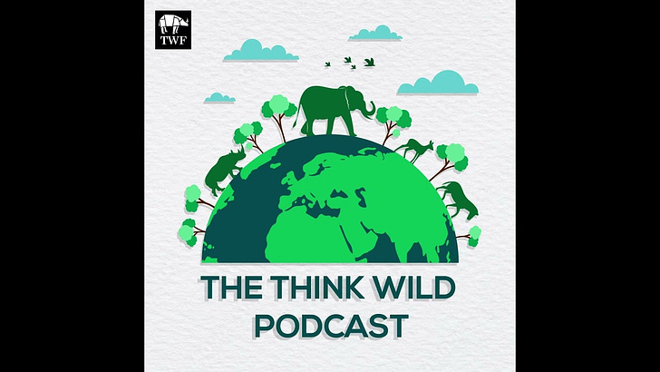 29ea8415d2a18bb753ab9a99e9b91010 | Think Wildlife Foundation