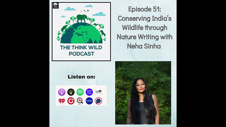 ebe1a58aa2a9a5328c3f2819769f28ed | Think Wildlife Foundation